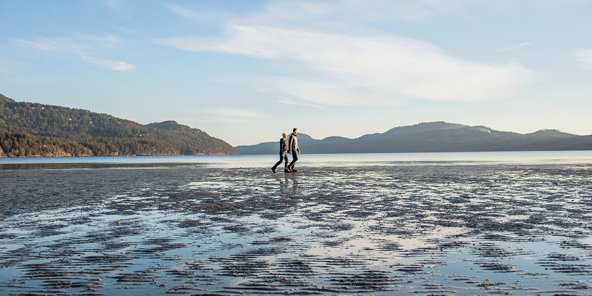 G4 RF Generator Indications, Safety & Warnings | Pain.com